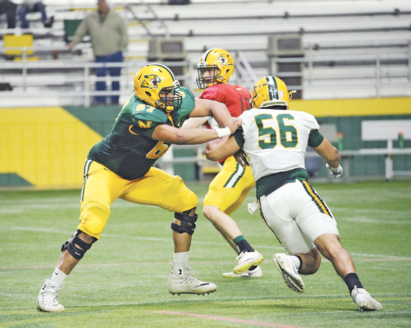 Going pro in the U.S. Football League: Ex-Northern Michigan University ...
